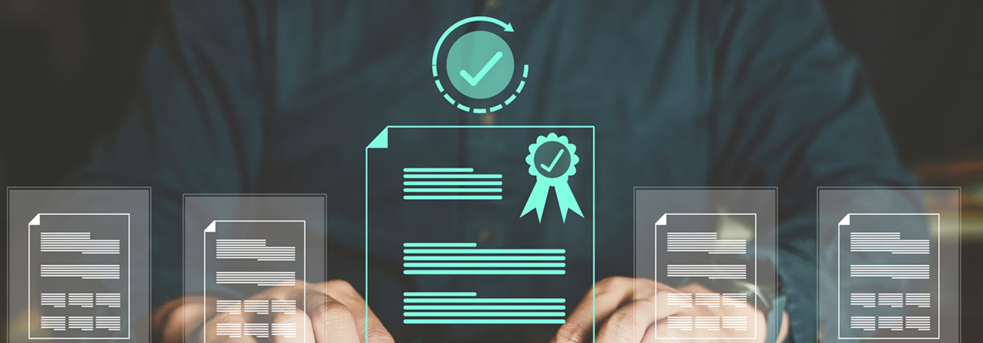 Data quality programme